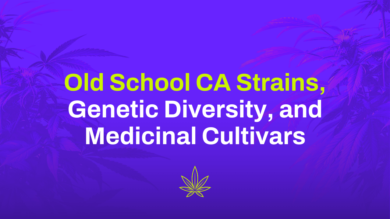 Old School CA Strains, Genetic Diversity, and Medicinal Cultivars, with ...