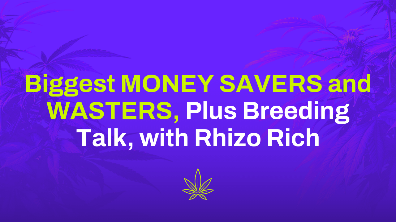 Biggest MONEY SAVERS and WASTERS, Plus Breeding Talk, with Rhizo Rich ...