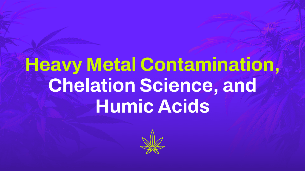 Heavy Metal Contamination, Chelation Science, and Humic Acids, with Nik ...