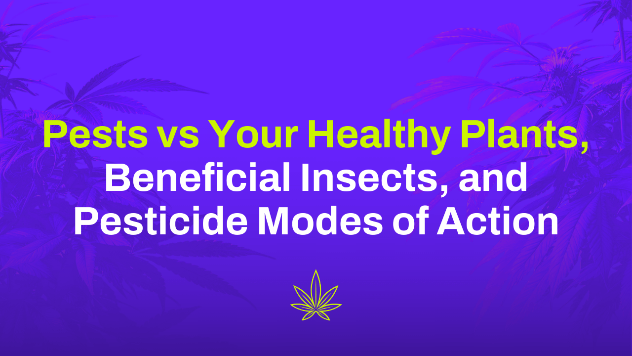 Pests vs Your Healthy Plants, Beneficial Insects, and Pesticide Modes ...