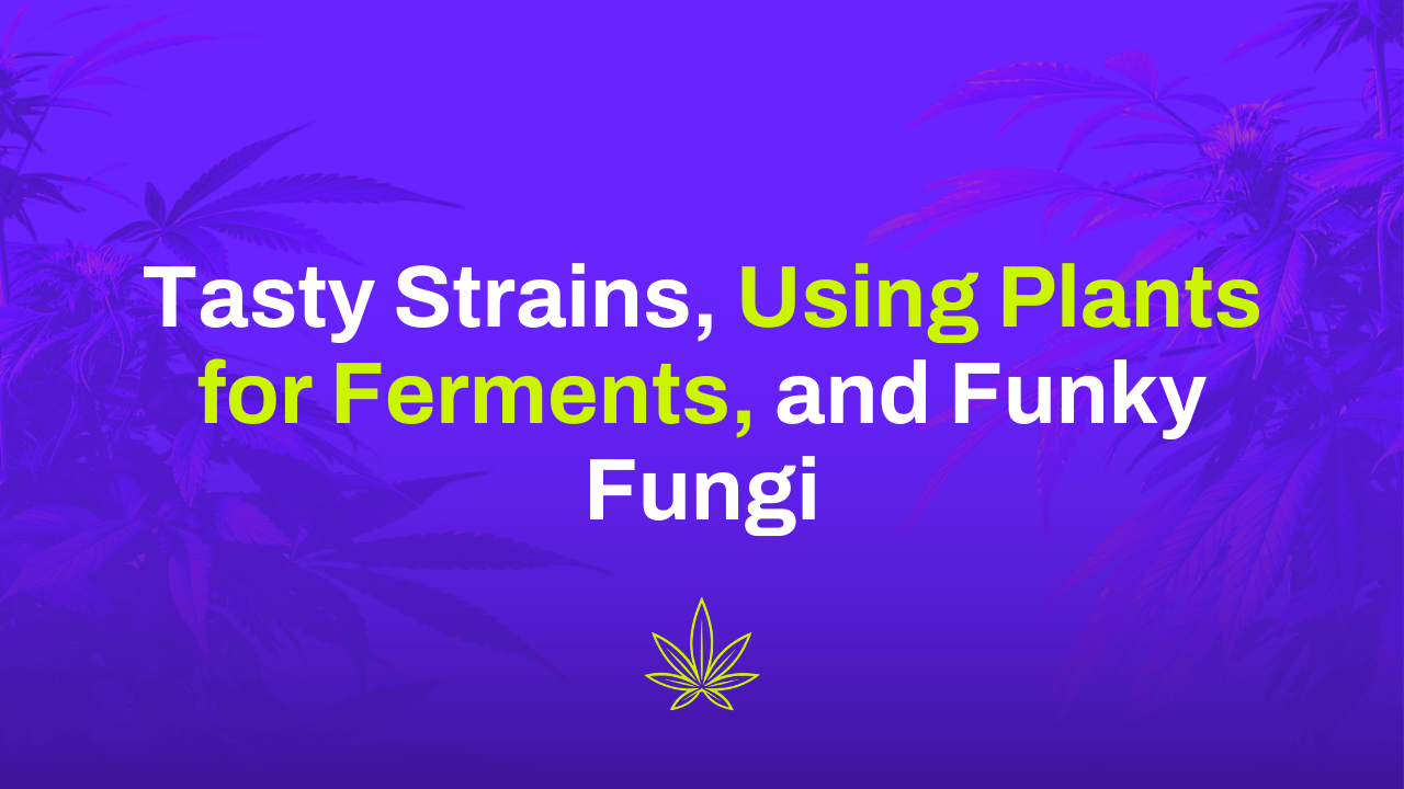 Tasty Strains, Using Plants for Ferments, and Funky Fungi, with ...